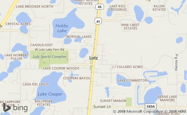 Lutz Florida Map